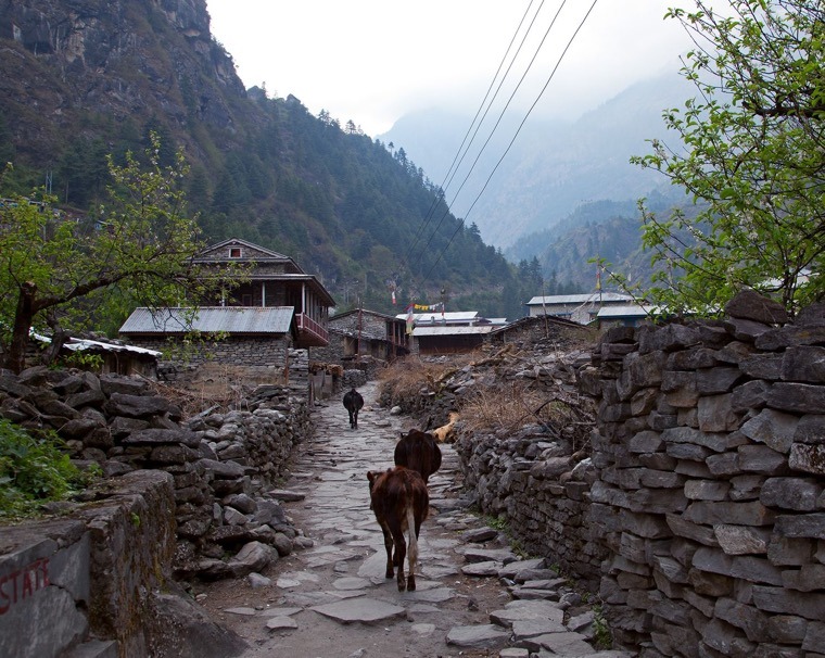 Dharapani Village In Nepal: Complete Guide For Trekkers