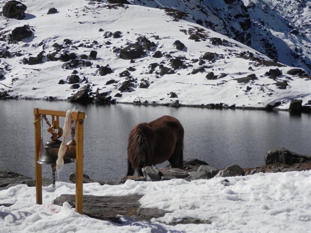 Langtang National Park Guide 2026
